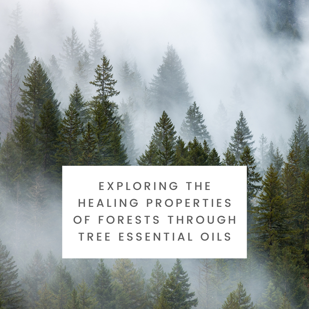 Exploring the Healing Essence of Forests Through Tree Essential Oils ...